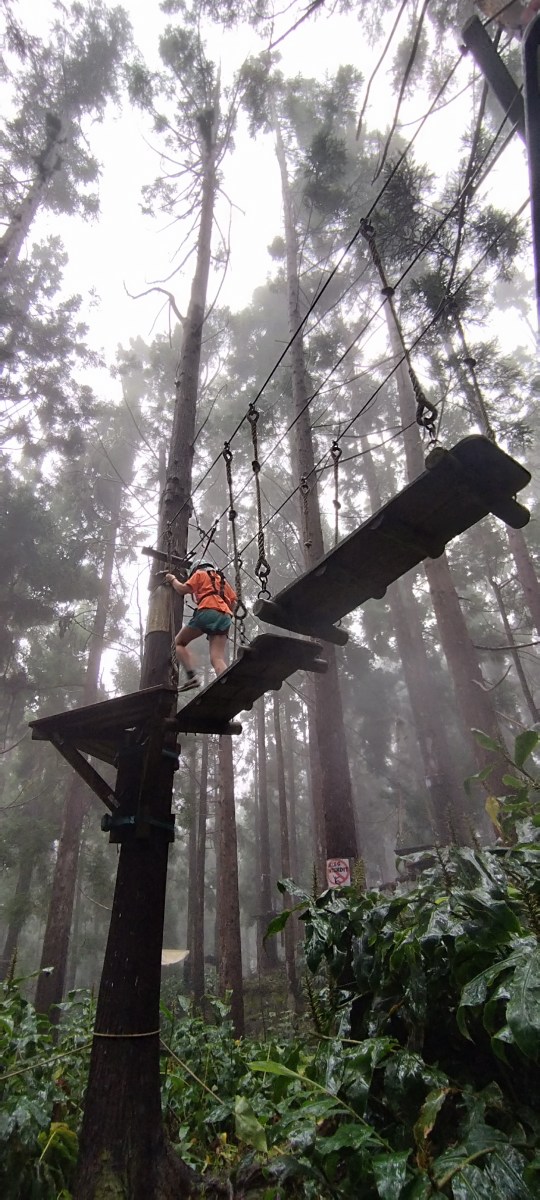 Helpful Support pages – A Second Chance